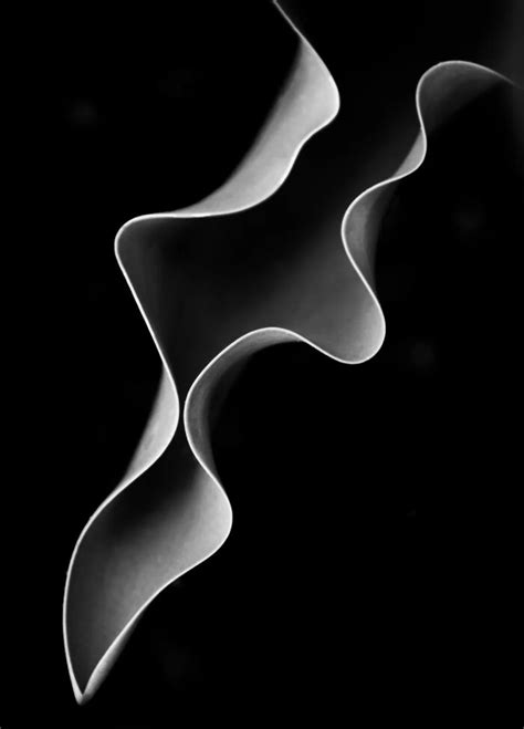 تصاویر برگزیده در مسابقات عکاسی سیاه‌وسفید ۲۰۲۴ قدم به دنیای سایه‌ها