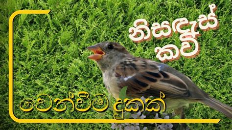 වෙන්වීම දුකක්මයි නිසඳැස් කවි Sinhala Nisadas Youtube
