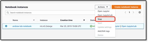 Shutting Down Aws Ai Services Workshop