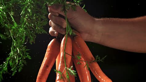 Carrots In The Hands Of A Man With Splashes Of Water Filmed On A