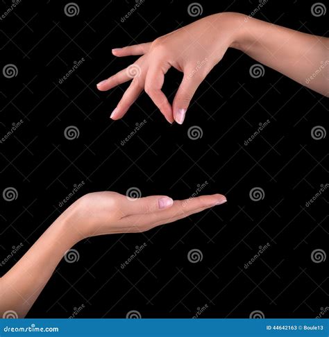 Woman Hand Pick Up Object Stock Image Image Of Finger 44642163