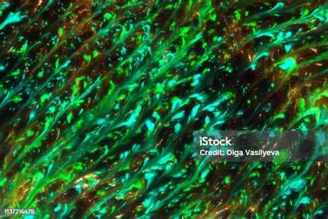 아름 다운 추상적 인 그림을 그리는 기술 아크릴 물감으로 물에 Ebru 회화의 터키 스타일은 파도를 왜곡 내츄럴 럭셔리의 세련 된 조합 마 밍 현대 미술 0명에 대한 스톡