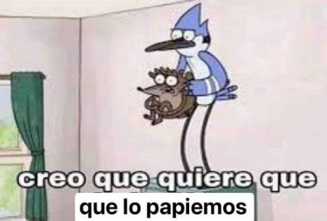Últimos Memes Memedroid