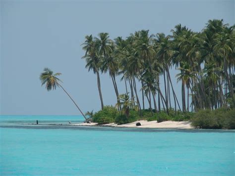 Lakshadweep Pictures Traveler Photos Of Lakshadweep India Tripadvisor