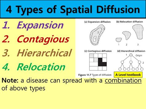 types of diffusion 9th grade flashcard quizizz