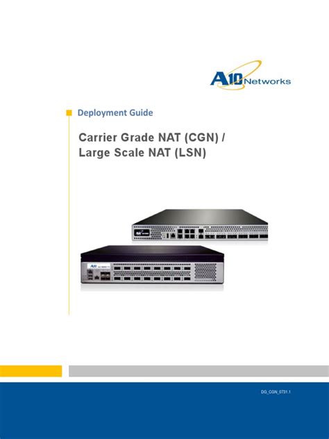 a10 dg carrier grade nat cgn large scale nat lsn pdf router