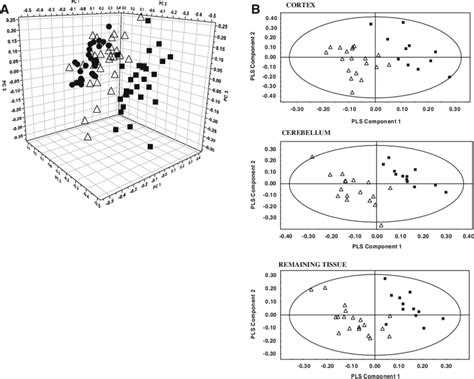 Pattern Recognition Of Spectra Obtained From Cerebral Extracts A Pca Download Scientific