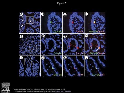 Volume Issue Pages March Ppt Download