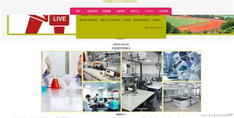 精选97个易于通过答辩的springboot计算机毕业设计项目，值得一看 csdn博客