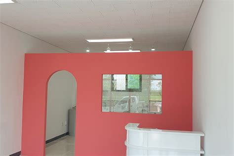 핑크를 포인트로 한 애견샵인테리어 라이프스타일 슈퍼앱 오늘의집