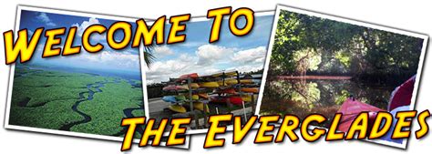 Environmental Success And Predators And Prey Burmese Python