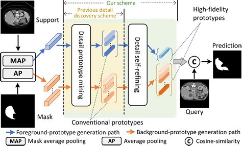 Few Shot Medical Image Segmentation With High Fidelity Prototypes Ai