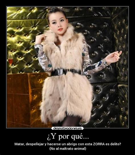 Im Genes Y Carteles De Zorra Pag Desmotivaciones