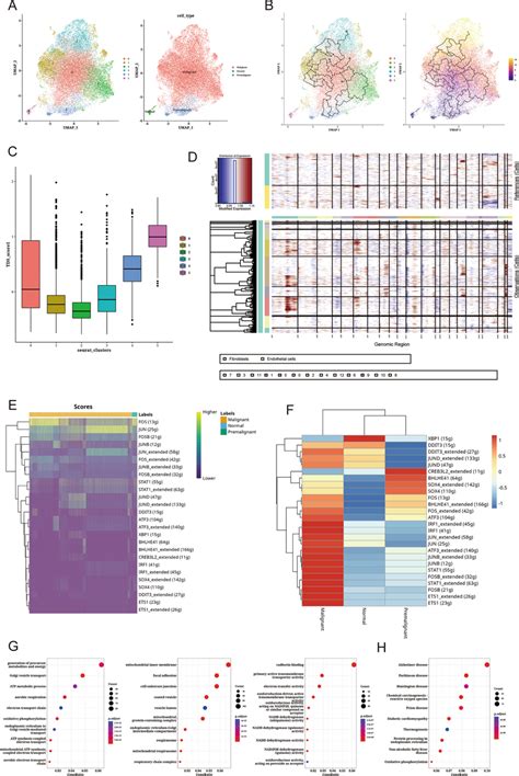 dimensionality reduction cluster analysis of thyroid associated cell