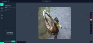 Live Object Detection And Image Segmentation With YOLOv8 Analytics Vidhya
