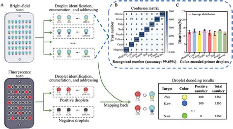 Decoding Of The Droplet Array With A Machine Learning Algorithm A Download Scientific Diagram