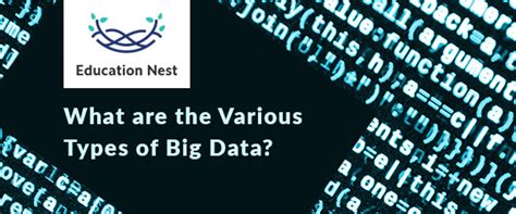 An Informational Guide To Big Data Analytics Education Nest