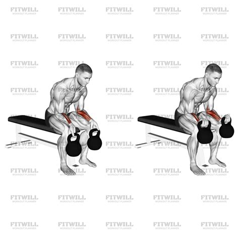 Kettlebell Wrist Curl Exercise Guide Video Techniques Benefits How To Muscles Worked Tips