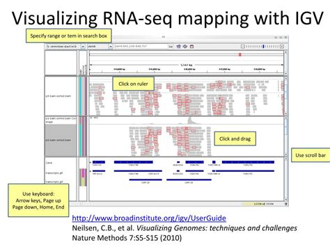 Ppt Introduction To Next Generation Sequencing Ngs Data Analysis Powerpoint Presentation
