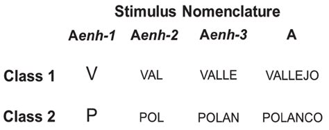 Progressive Increase Of Stimuli A Download Scientific Diagram