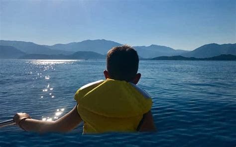 What Are The 5 Different Types Of Pfds