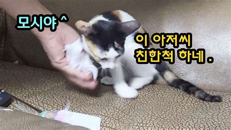 아저씨가 나에게 자꾸 친한척해요 Youtube