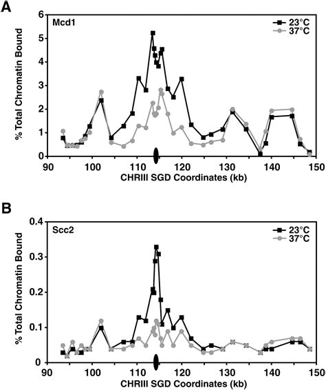 The Scc2 Scc4 Cohesin Loader Determines The Distribution Of Cohesin On Budding Yeast Chromosomes