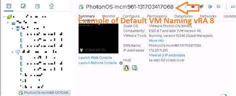 Virtualization The Future Custom Naming For Vms In Vmware Vra 8