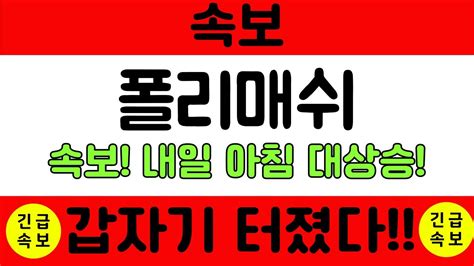 폴리매쉬 ★단타 150 급등 코인 슈퍼빔 비상사태 당장 사라 뉴욕 거래소 승인 확정★폴리매쉬폴리매쉬코인전망폴리매쉬코인 Youtube