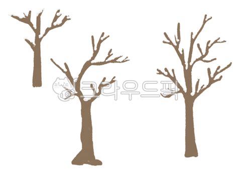 나무 겨울나무 눈덮인나무 나무가지 나뭇가지 사진 이미지 일러스트 캘리그라피 쬬링이작가