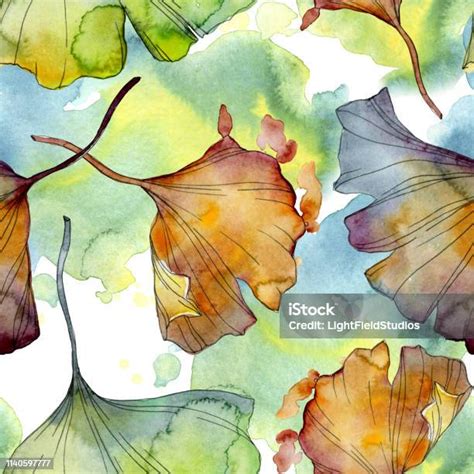 은행나무 Biloba 잎 식물 식물원 꽃 단풍 수채화 그림 집합입니다 완벽 한 배경 패턴입니다 0명에 대한 스톡 벡터 아트 및 기타 이미지 Istock