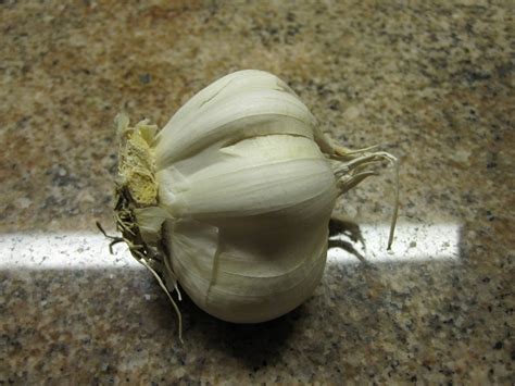 Soy Sauce String Beans The Kosher Foodies