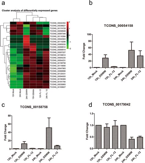 The Expression Levels Of Predicted Lncrnas A Hierarchical Heat Map Download Scientific