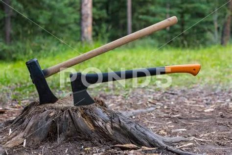 Photograph Chopping And Splitting Axe Blade Cut Into An Old Tree Stump Deforestation