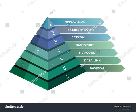 7 Layer Osi Network Model Presented Stock Vector Royalty Free
