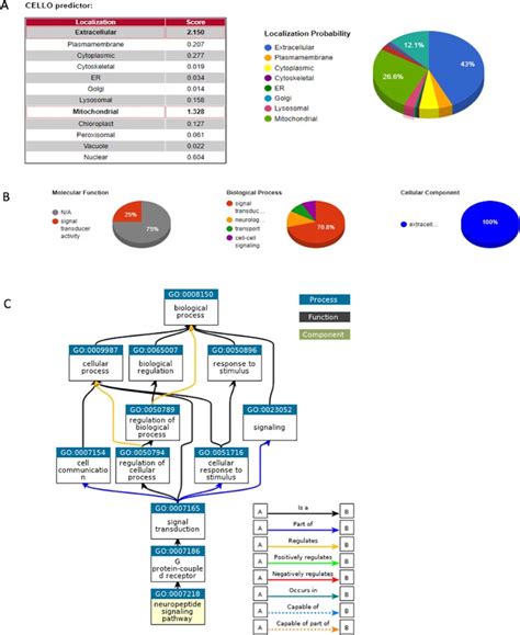 A Predicted Subcellular Localization Of The Gnih Protein The Highest