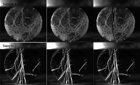 Fracture Propagation Process Of Coal Samples Download Scientific Diagram