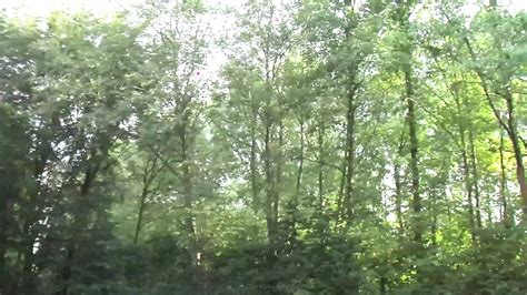 Deutscher Sex Xhamster