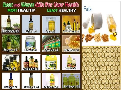 Analysis Of Fats Oils And Waxes