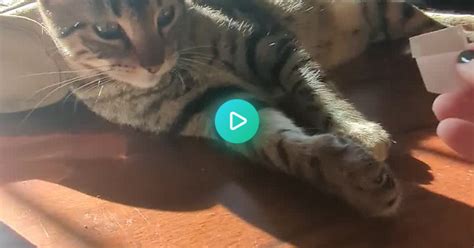 nice catch album on imgur