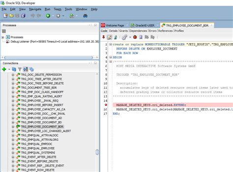 How To Fix Sqldeveloper Remote Debug When Language System Is In English Oracle Forums