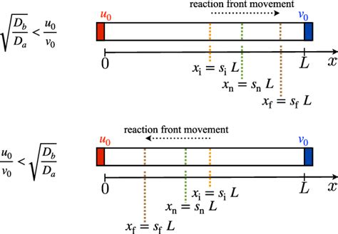 The Experimental Setup For Counterdiffusion In A Tube With Three