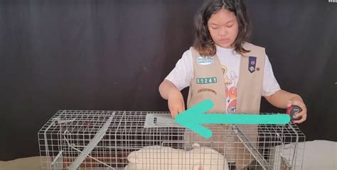 How To Measure A Tnr Trap Make A Sewing Pattern And Sew Tnr Trap Cover 9 Steps With Pictures