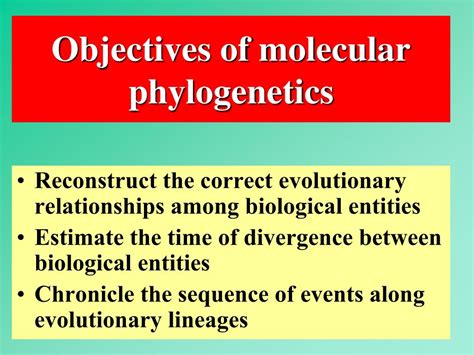 Ppt Molecular Phylogenetics Powerpoint Presentation Free Download Id2955540