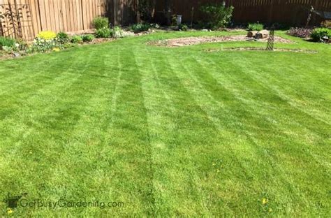 Lawn Mowing Patterns How To Cut Grass Like A Pro