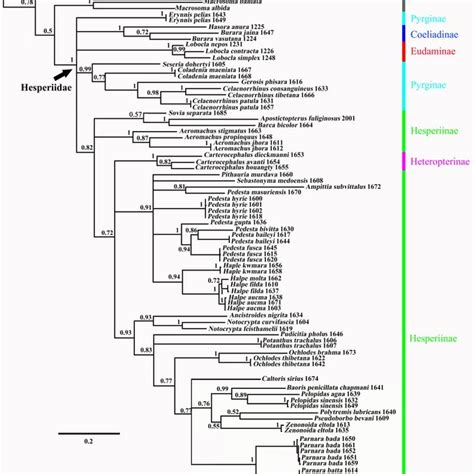 Majority Rule Consensus Tree From The Bayesian Analysis Bi Based On Download Scientific