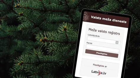 Meža Tipi Latvijā Daudzveidība Un To Nozīme Mežabirža