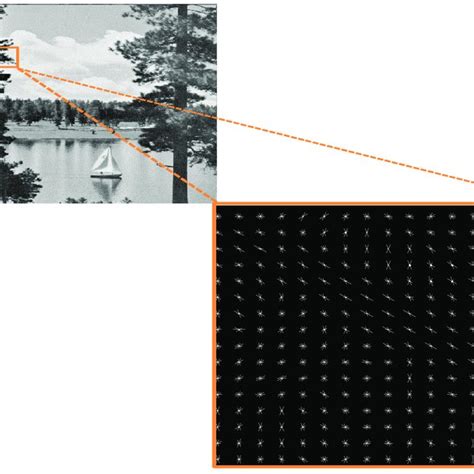 standard 8 bit grayscale image used in experiments as cover images