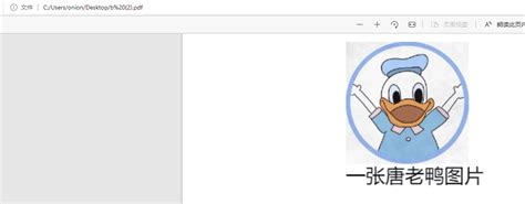Vue基于html2canvas和jspdf 生成pdf 、解决jspdf中文乱码问题的方法详解vuejs脚本之家