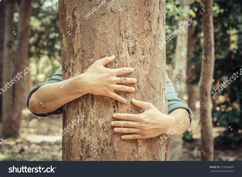 Man Hugging Tree Images Stock Photos Vectors Shutterstock